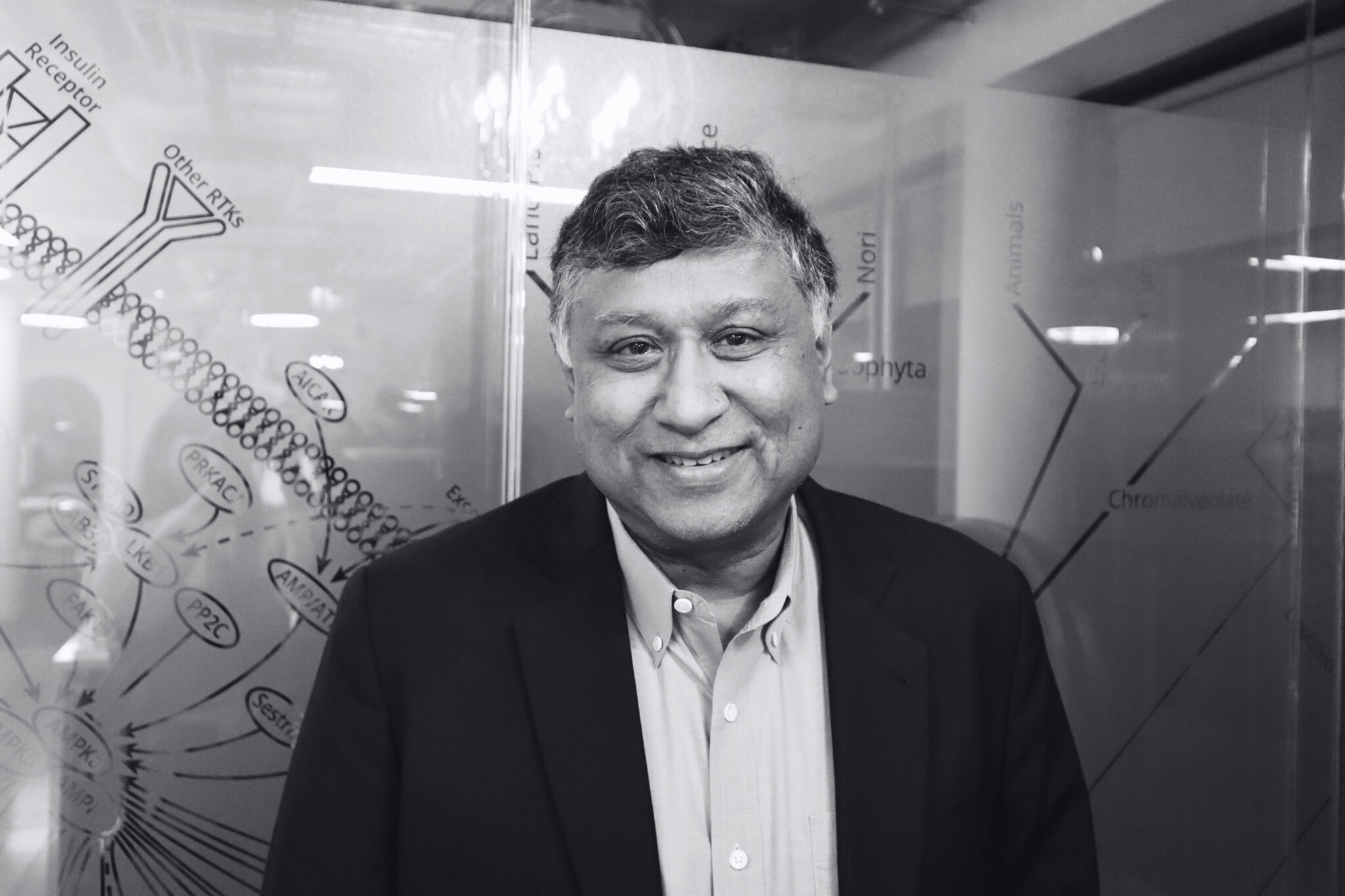 About Us – Nuritas